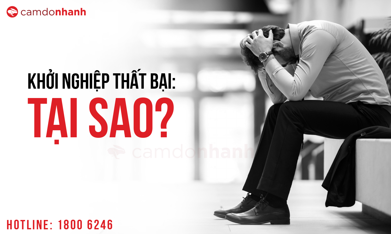 KhỞi NghiỆp ThẤt BẠi TẠi Sao Camdonhanh